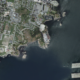 ArcGIS Web Application